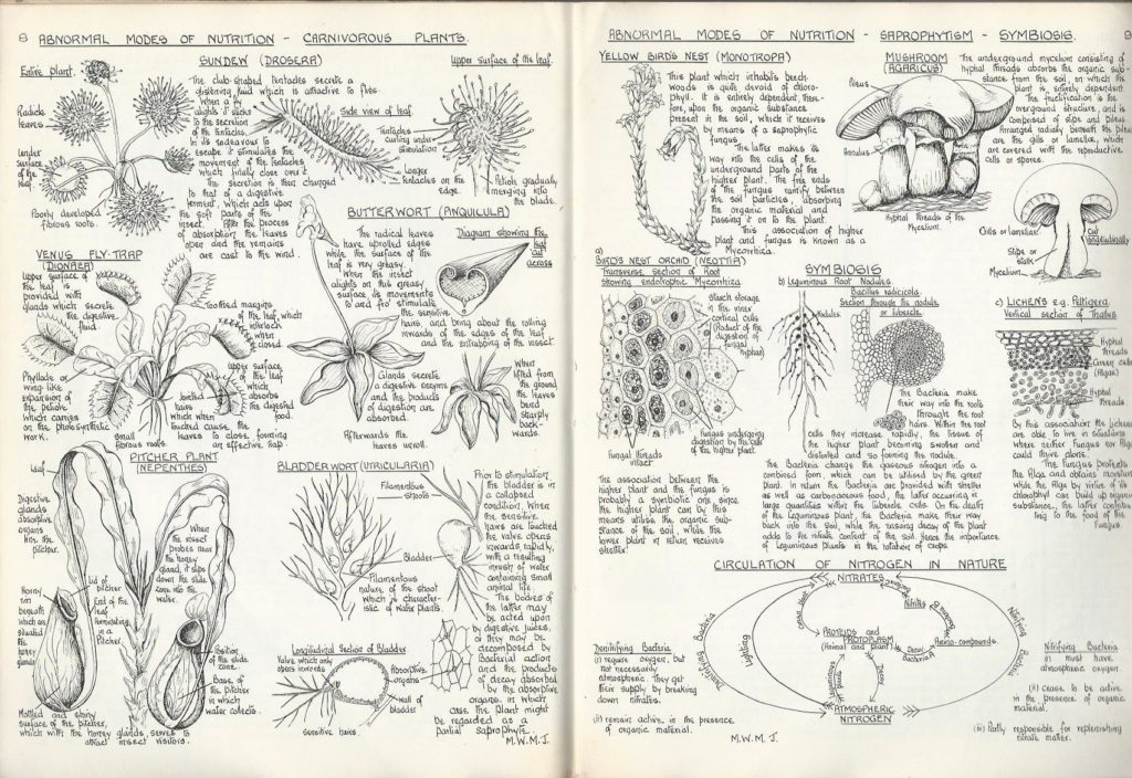 Biological Drawings with Notes Parts l & II - Bookstuffshop