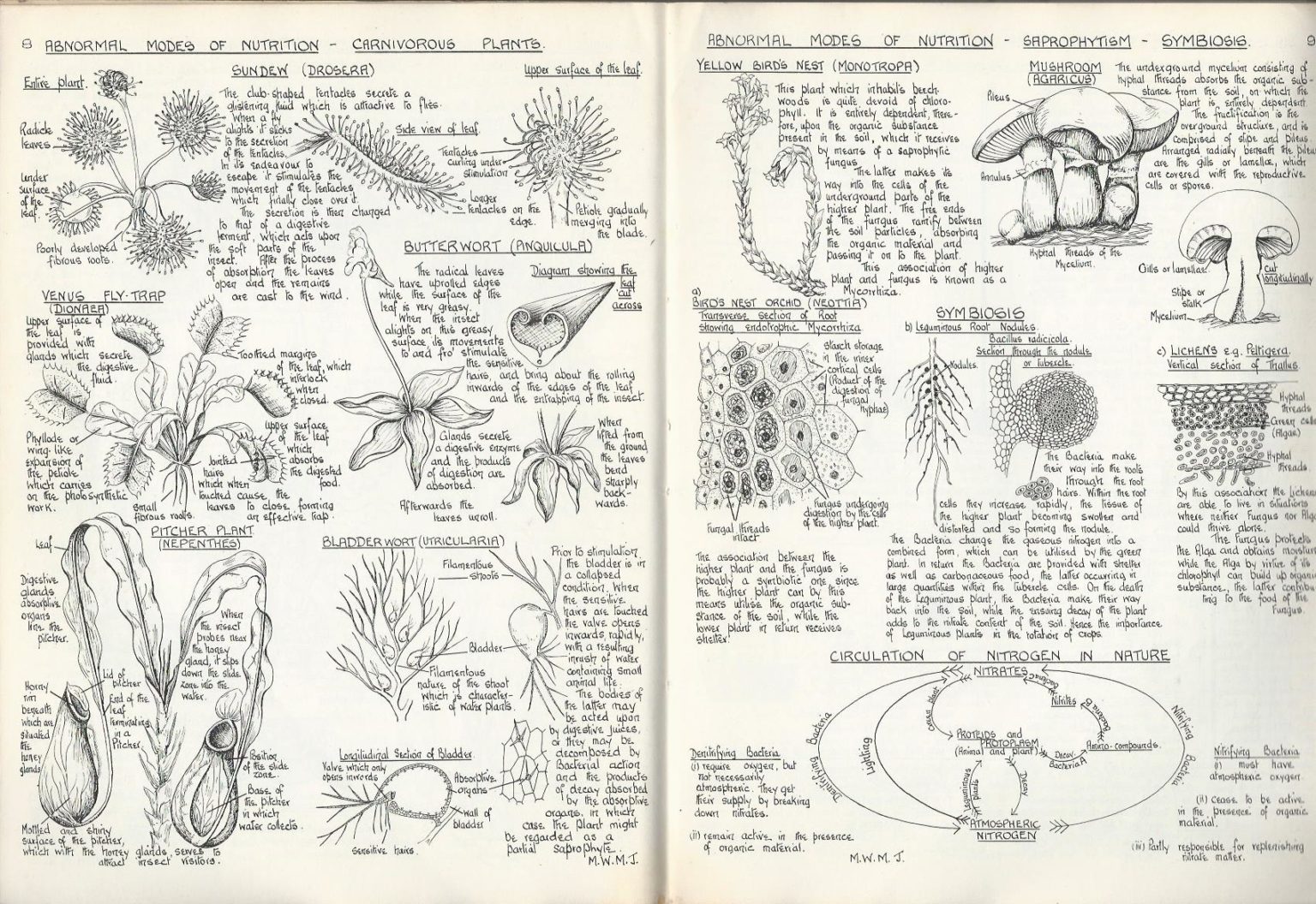 Biological Drawings with Notes Parts l & II - Bookstuffshop